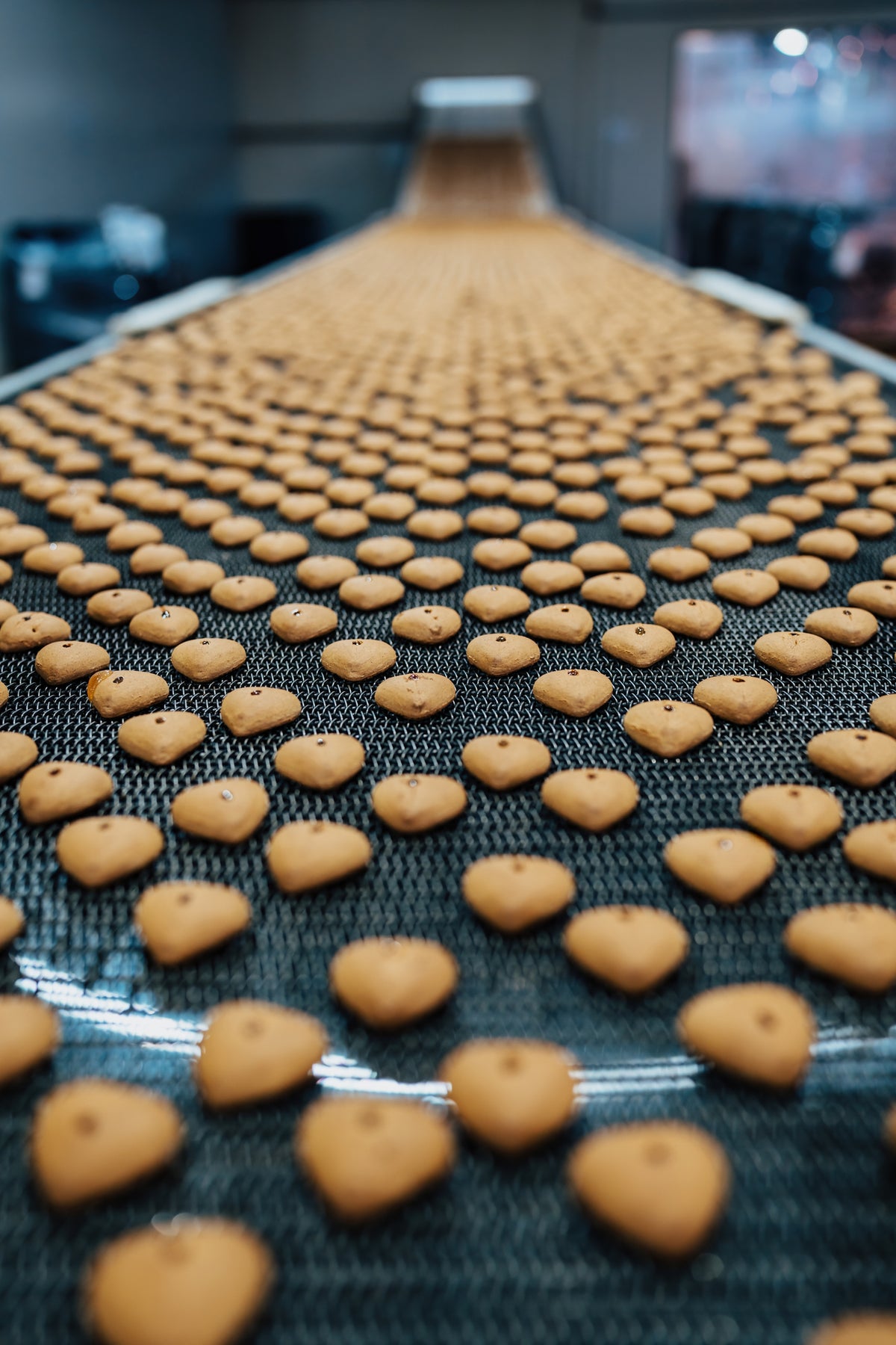 Kill Step Validation – AIB International, Inc.